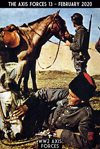 Amazon.com: The Axis Forces 13 eBook : Afiero, Massimiliano: Kindle Store