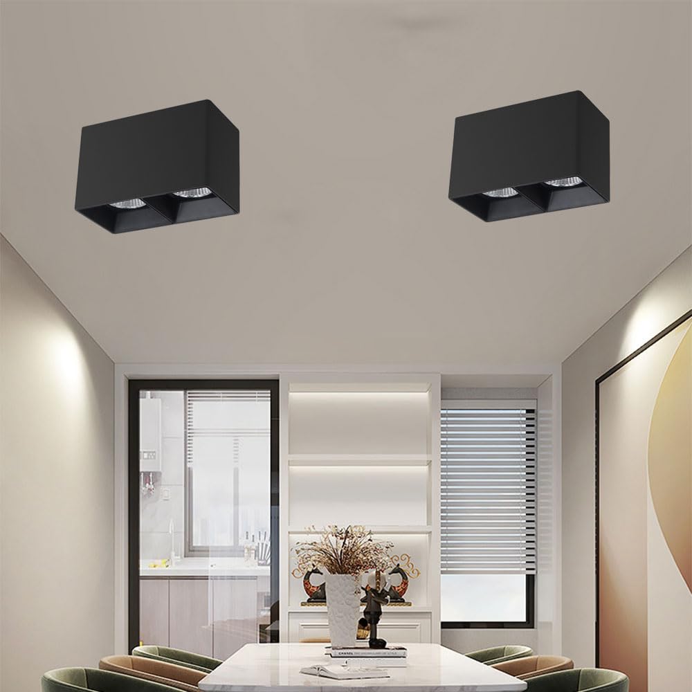 Soffit Mounted Down Lighting Flush Mount Ceiling Light Fixture Flat