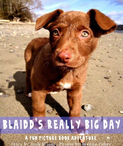 Blaidd's Really Big Day: A Fun Picture Book Adventure - Kindle edition ...