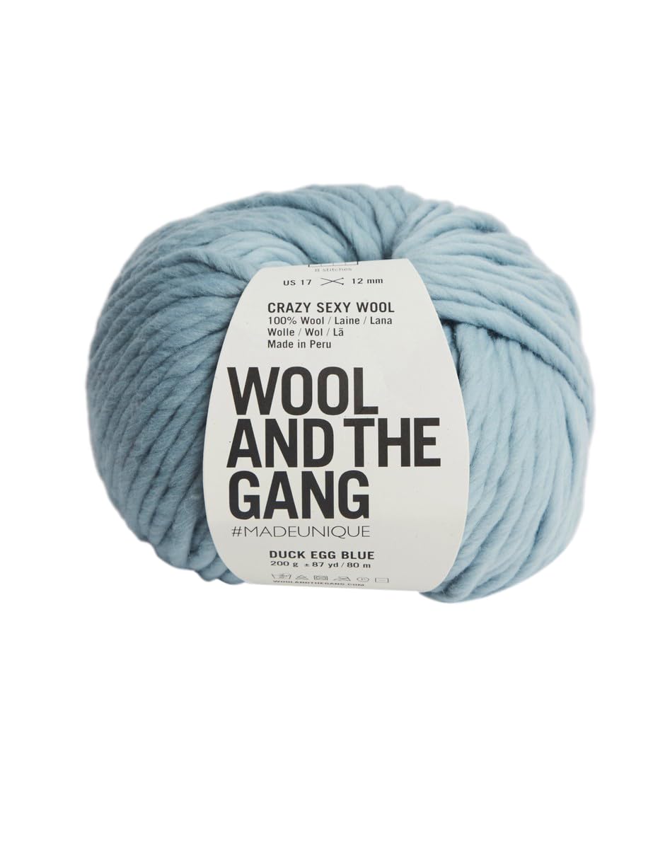 Amazon.com: Wool and the Gang Crazy Sexy Wool, Duck Egg Blue (150), 200g
