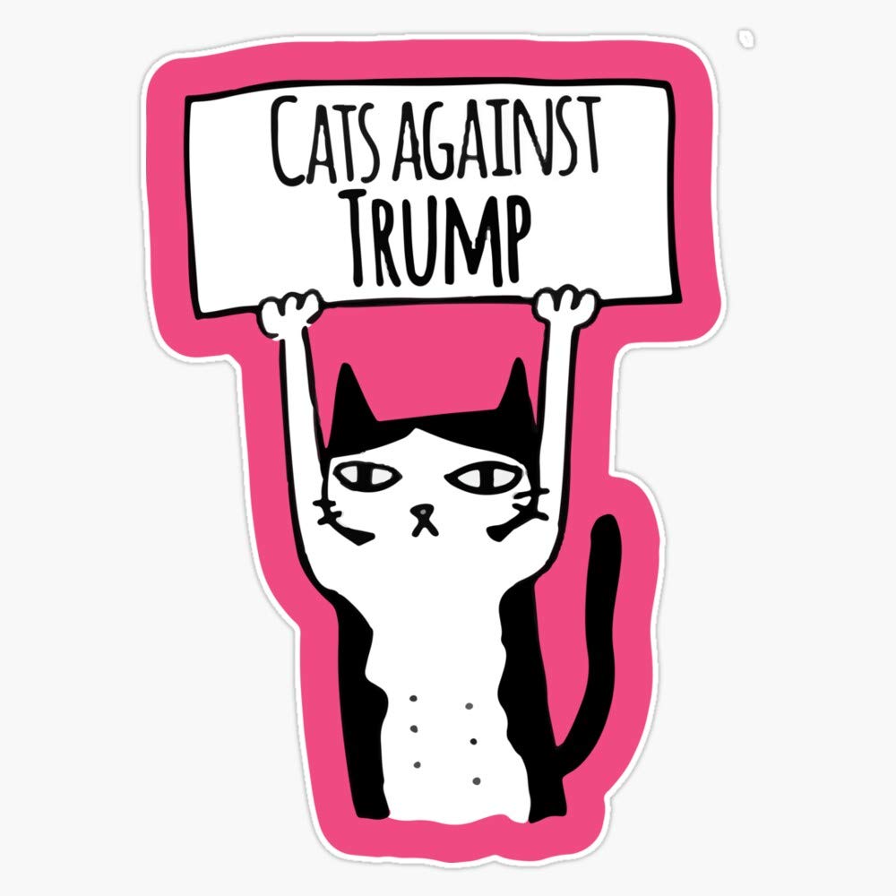 Amazon.com - Protest Cat : Cats Against Trump Sticker Vinyl Bumper ...
