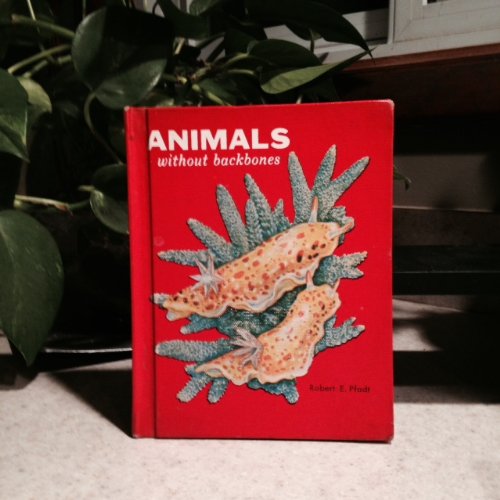Animals Without Backbones: Pfadt, Robert E., Barlowe, Dot: Amazon.com ...