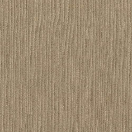 Buy QUICKSAND - 12x12 Cardstock by Bazzill Fourz | 80 lb textured Brown ...
