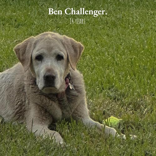 Amazon.co.jp: 14 Years. : Ben Challenger.: デジタルミュージック