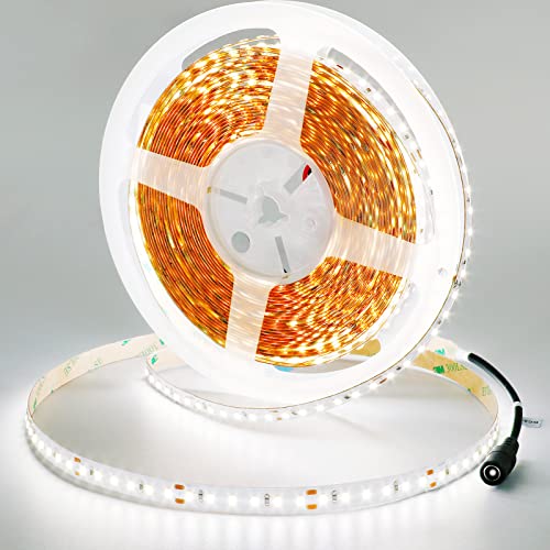 Tiras LED SMD 2835 a 24V | LED Moment