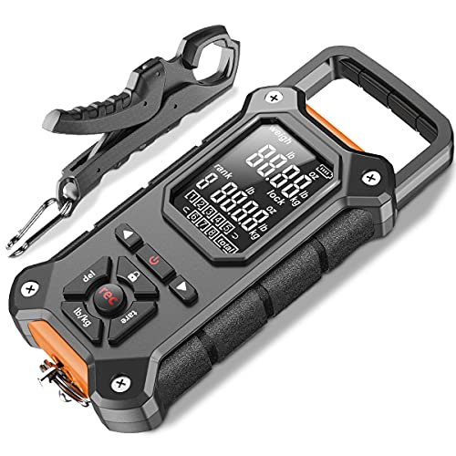 Best Fish Scales of 2021 - Fishmasters.com