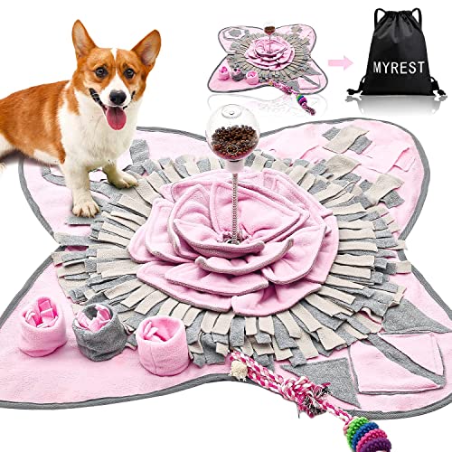 Celine Tails's Amazon Page