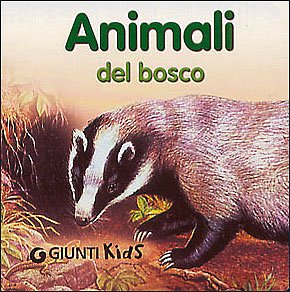 Gli animali del bosco : Amazon.it: Libri