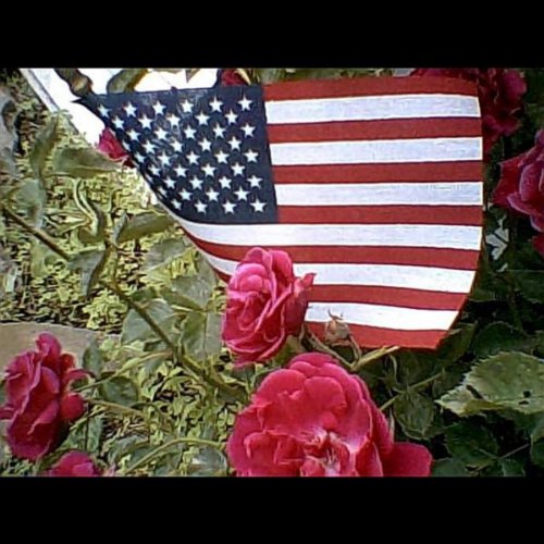 Amazon.com: God Bless the Usa : Mark Reaume: Digital Music