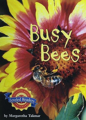 Amazon.com: Houghton Mifflin Reading Leveled Readers: Level 2.4.2 on LVL Busy Bees ...