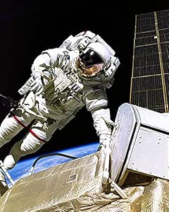 Amazon.com: NASA Astronaut Jerry Ross Space Walk 16x20 Photograph Photo ...