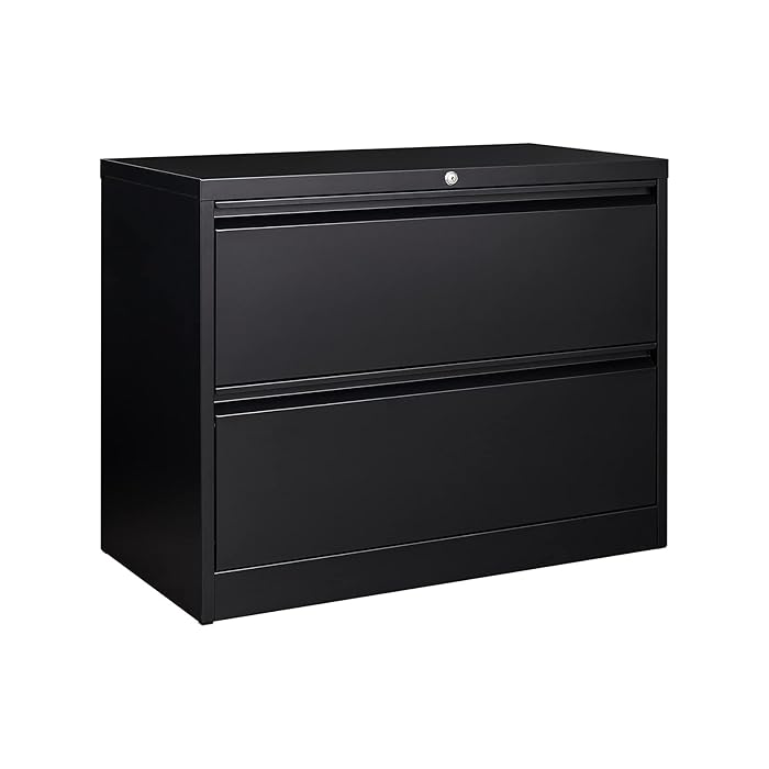 Buy MIIIKO 2 Drawer Lateral File Cabinet with Lock, Filing Cabinet for ...