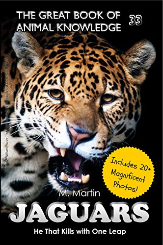 Jaguar Books for Children | Rainforest Unit Study