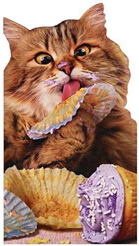 Cat Eating Cupcake