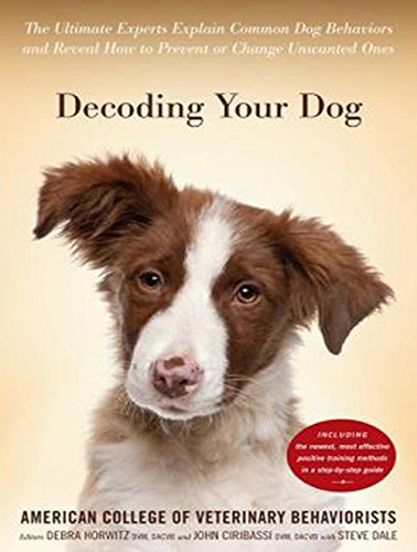 Decoding Your Dog: The Ultimate Experts Explain Common Dog Behaviors ...
