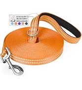 Amazon.com : Long Dog Leash XiaZ Training Leashes 10/15/20/30/50/100ft ...
