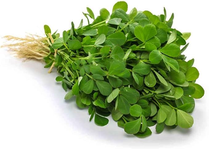 Seelans Fresh Methi Leaf Bunch, Double Bunch, Methi Indian herb, Fresh ...