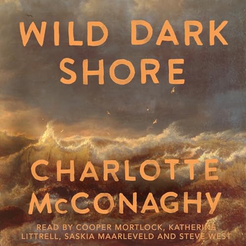 Amazon.com: Wild Dark Shore: Reese's Book Club Pick by Charlotte ...