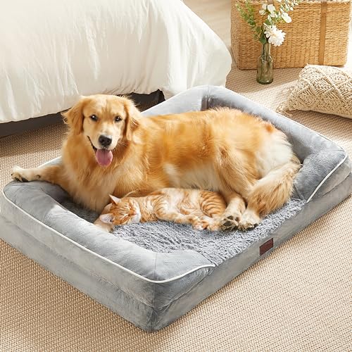Dog Murphy Bed – The 15 best products compared - Wild Explained