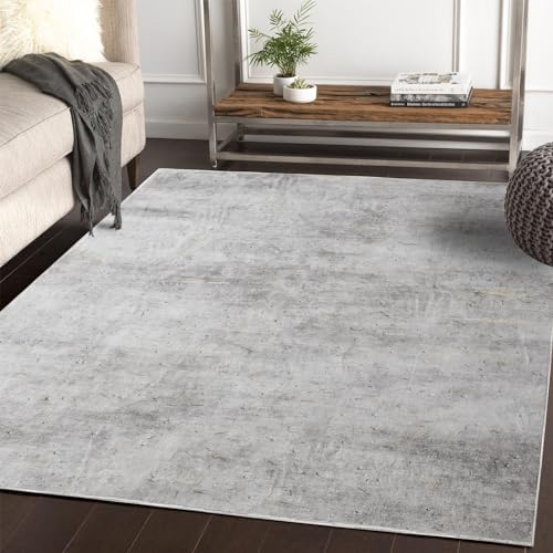Tinyboy-hbq Area Rug Living Room Rugs Grey Modern Luxury Rug Soft Short ...