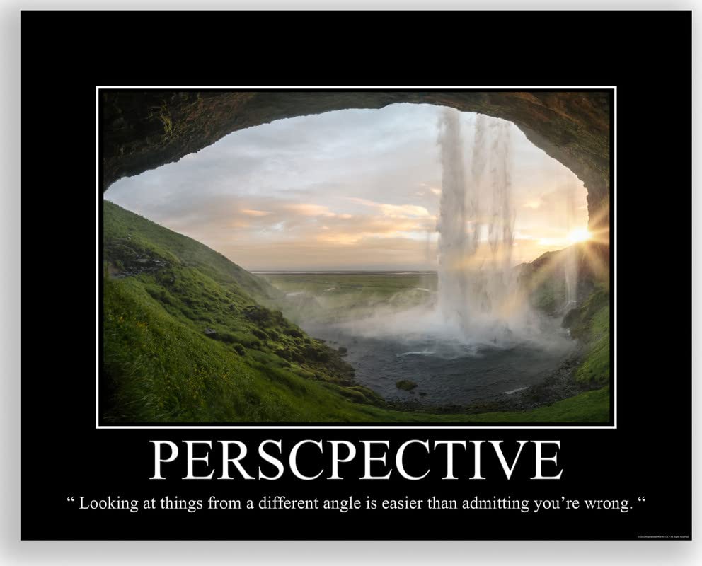 Amazon.com: Inspirational Wall Art Co. - Perspective | Demotivational ...