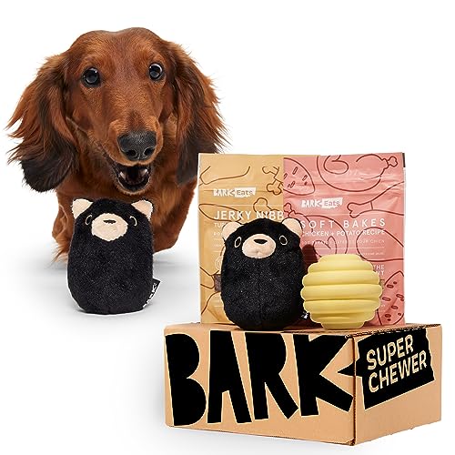 10 Best Super Chewer BarkBox Toys to Keep Your Dog Busy and Happy ...