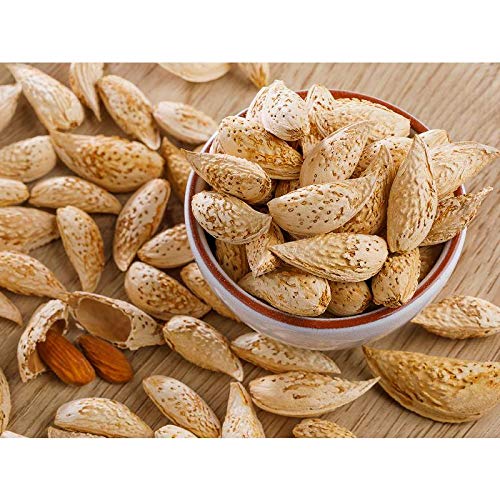Meezan Kashmiri Kagzi Badam 2KG | Kagzi Almonds | Soft Shell : Amazon ...