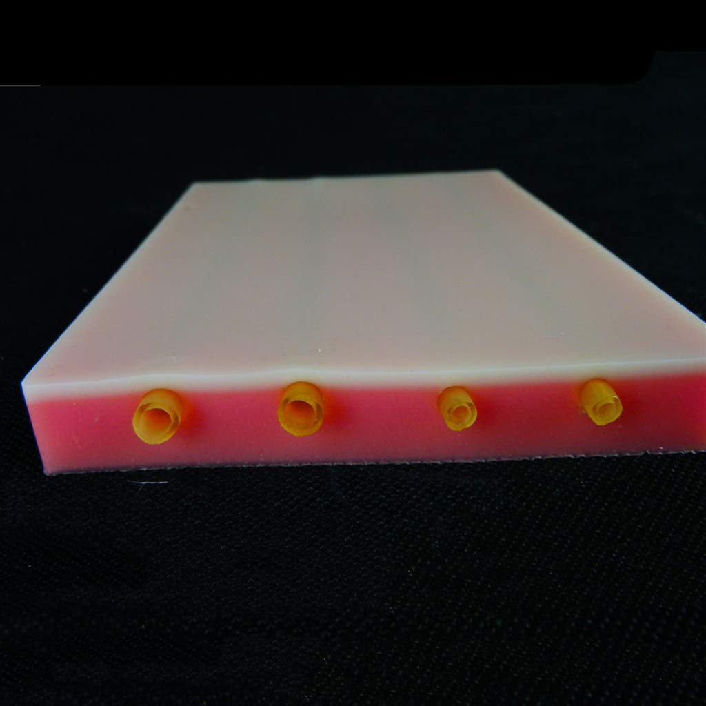 Buy WJH Training Suture Pad Skin Model Venipuncture IV Injection ...