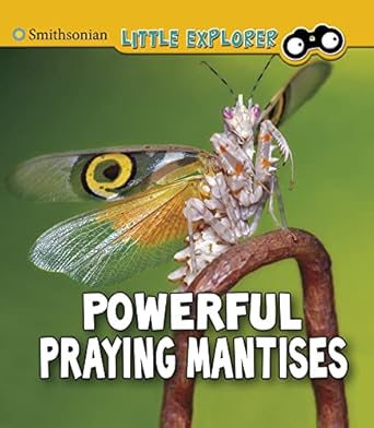 Powerful Praying Mantises (Insect Explorer): Melissa Higgins ...