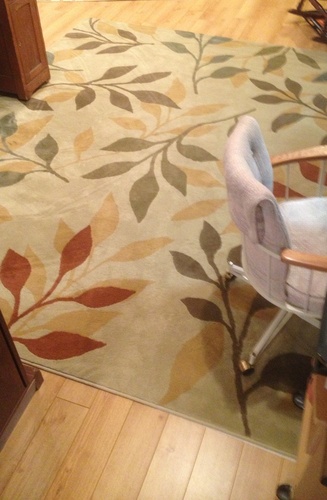 Amazon.com: Dalyn Rugs Carlisle CR 03 8-Feet 2-Inch by 10-Feet Area Rug ...