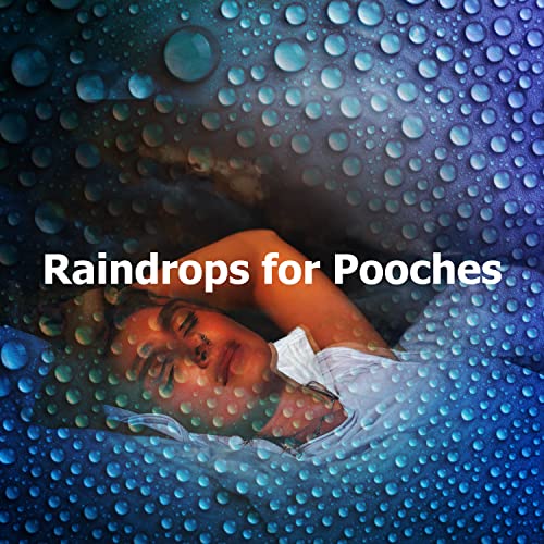 Amazon Music - Raindrops for Calming DogsのRaindrops for Pooches - Amazon.co.jp