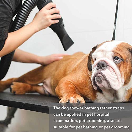 Yell Dog Bathing Suction Cup Tether,Dog Grooming Tub Restraint And Pet ...