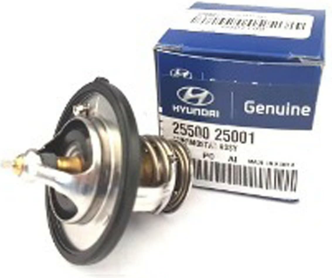 Amazon.com: Genuine OEM 25500-25001 Thermostat / 2550025001 for Hyundai ...