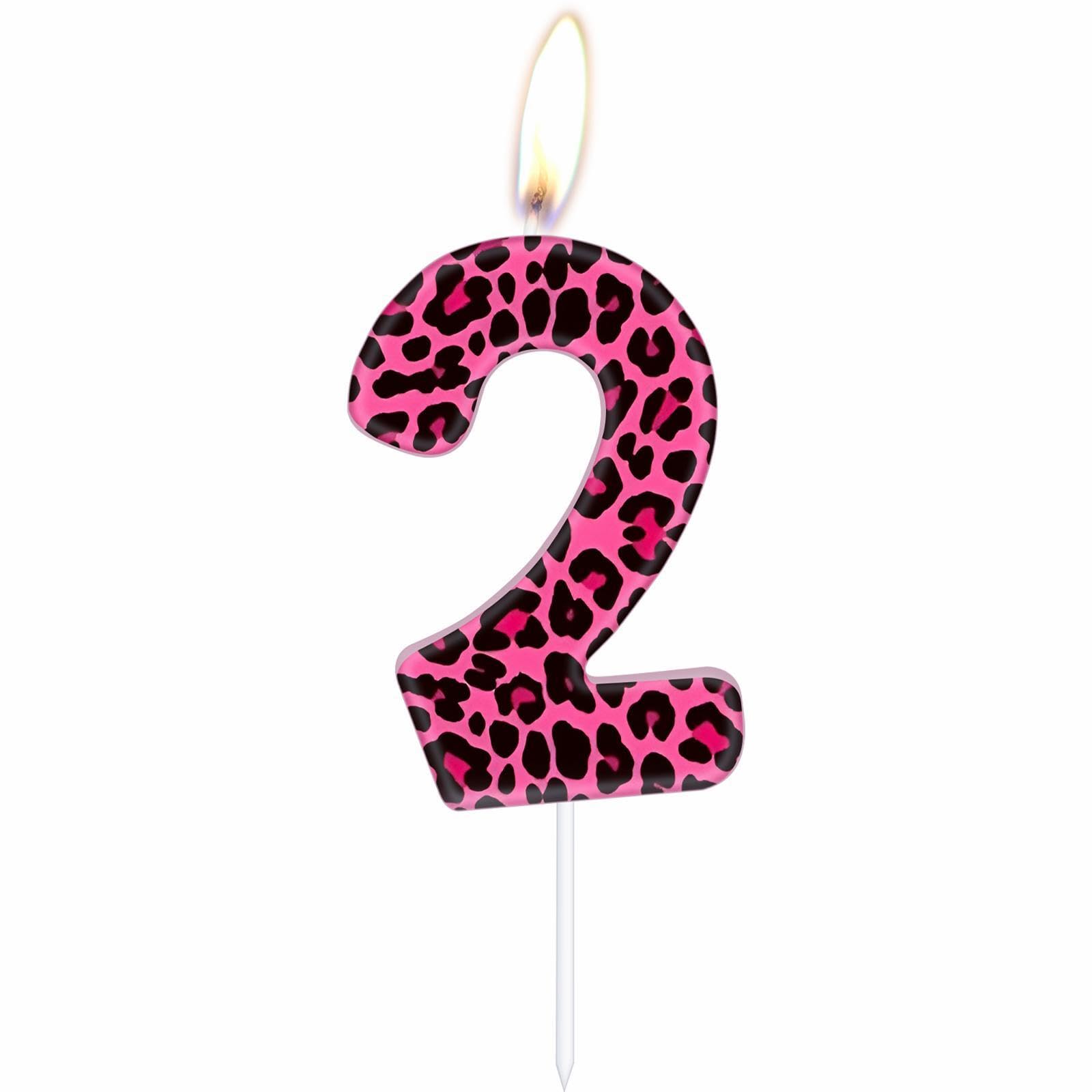 Amazon.com: Pink Leopard Print Number 2,Pink Cheetah Birthday Cake ...