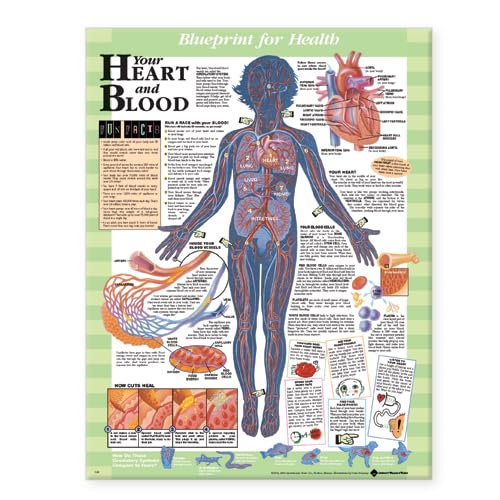 Blueprint for Health Your Heart and Blood Chart | Adobooks