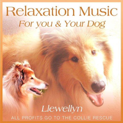 Archangel Michael song by Llewellyn from Relaxation Music for You and ...