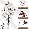Amazon.com: Kenning 60 Pcs 60 Balls Artificial Cotton Flowers Antique ...