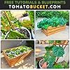 Amazon.com : Tomato Bucket (7 Pack) Self Watering Bucket Planter Pot ...