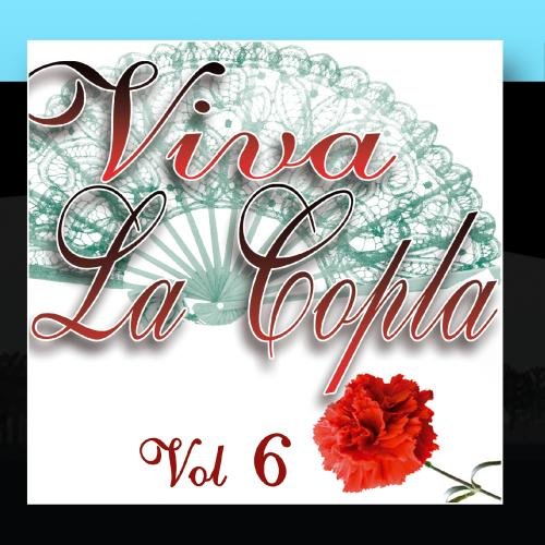 Amazon.com: Lo Mejor De La Copla Vol.6: CDs & Vinyl