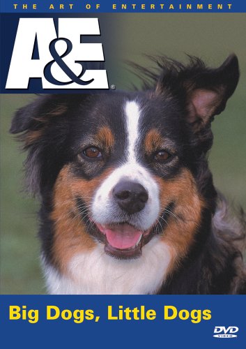 Amazon.com: Big Dogs, Little Dogs [DVD] : Movies & TV
