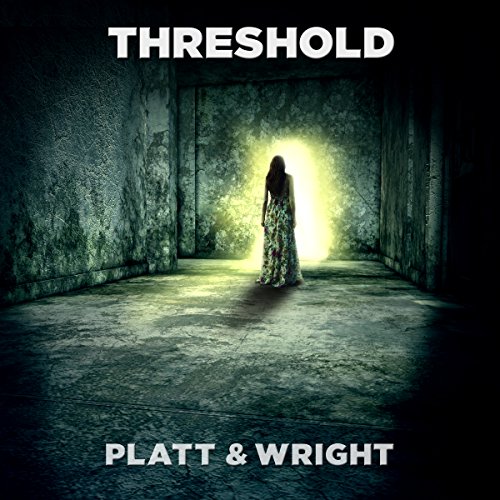 Amazon.com: Threshold (Audible Audio Edition): Sean Platt, David Wright, Ray Chase, Sterling ...