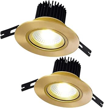 SANBDDLYY 2 Pack Gold Brass LED Recessed Light Fixtures LED Retrofit ...
