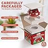 Amazon.com : Mushroom Planter - Unique Cute Small Mini Succulent Plant ...