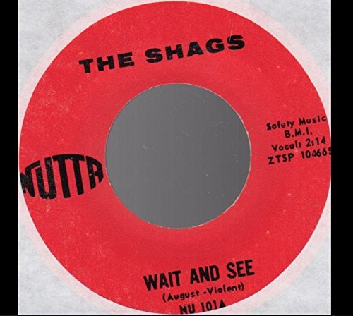 Amazon.com: The Shags ‎– Wait And See Original 45 RPM: CDs & Vinyl