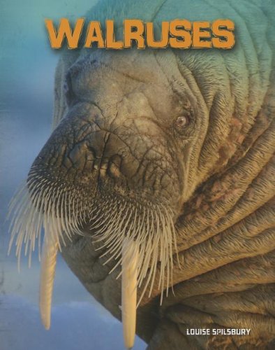 Walruses (Living in the Wild: Sea Mammals): Spilsbury, Louise ...