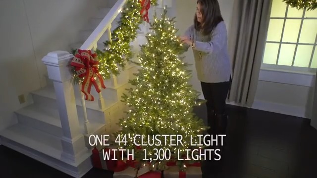 Watch Raz Imports Cluster Lights w Exclusive Twinkle Feature on Amazon Live
