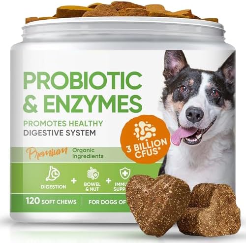 Probiotics for Dogs 120Chews– Digestive Enzymes & Prebiotics,Dog Gut ...