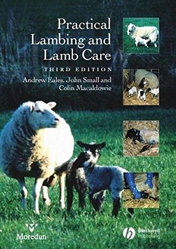 Practical Lambing and Lamb Care: A Veterinary Guide eBook : Amazon.co ...