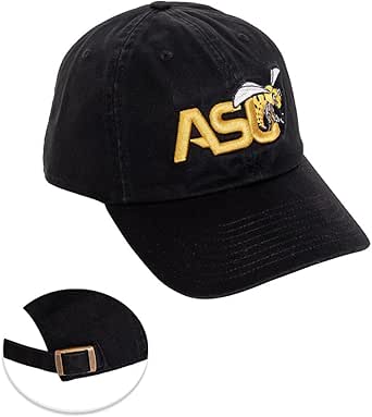 Amazon.com: Desert Cactus Alabama State University Baseball Hat Hornets ...