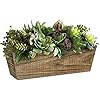 Amazon.com : Classic Home & Garden Wood Window Box - Buffalo Brown ...